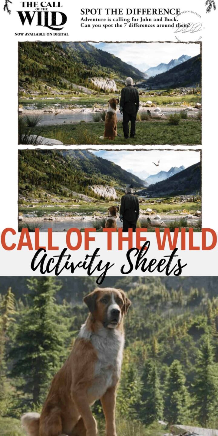 The Call of The Wild Activity Sheets - Dine Dream Discover
