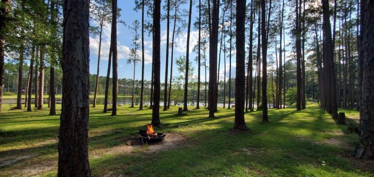 Sand Pond Campground