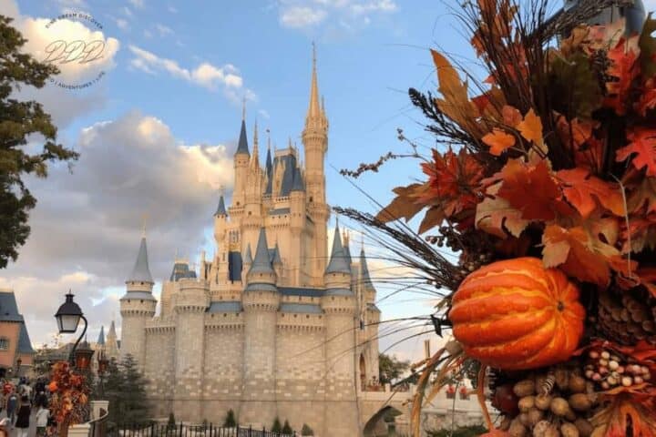 Fall Disney World Info 2024 - Dine Dream Discover