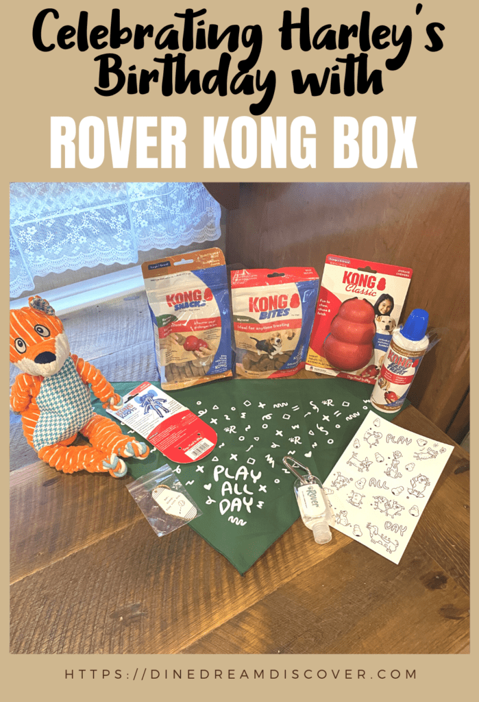 Rover KONG Box for Your Fur Baby - Dine Dream Discover