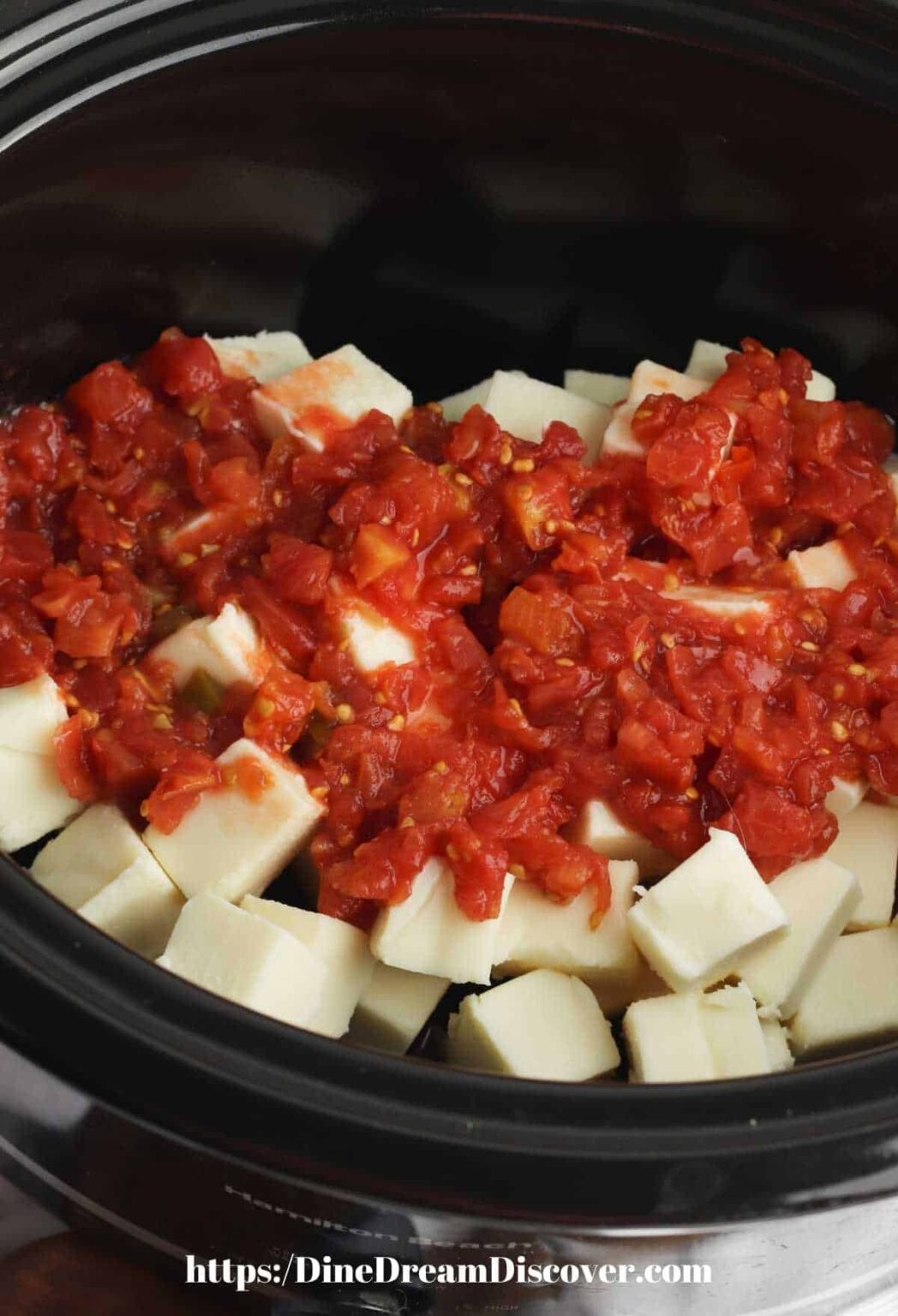 Slow Cooker 2 Ingredient Queso Blanco Dip - Dine Dream Discover