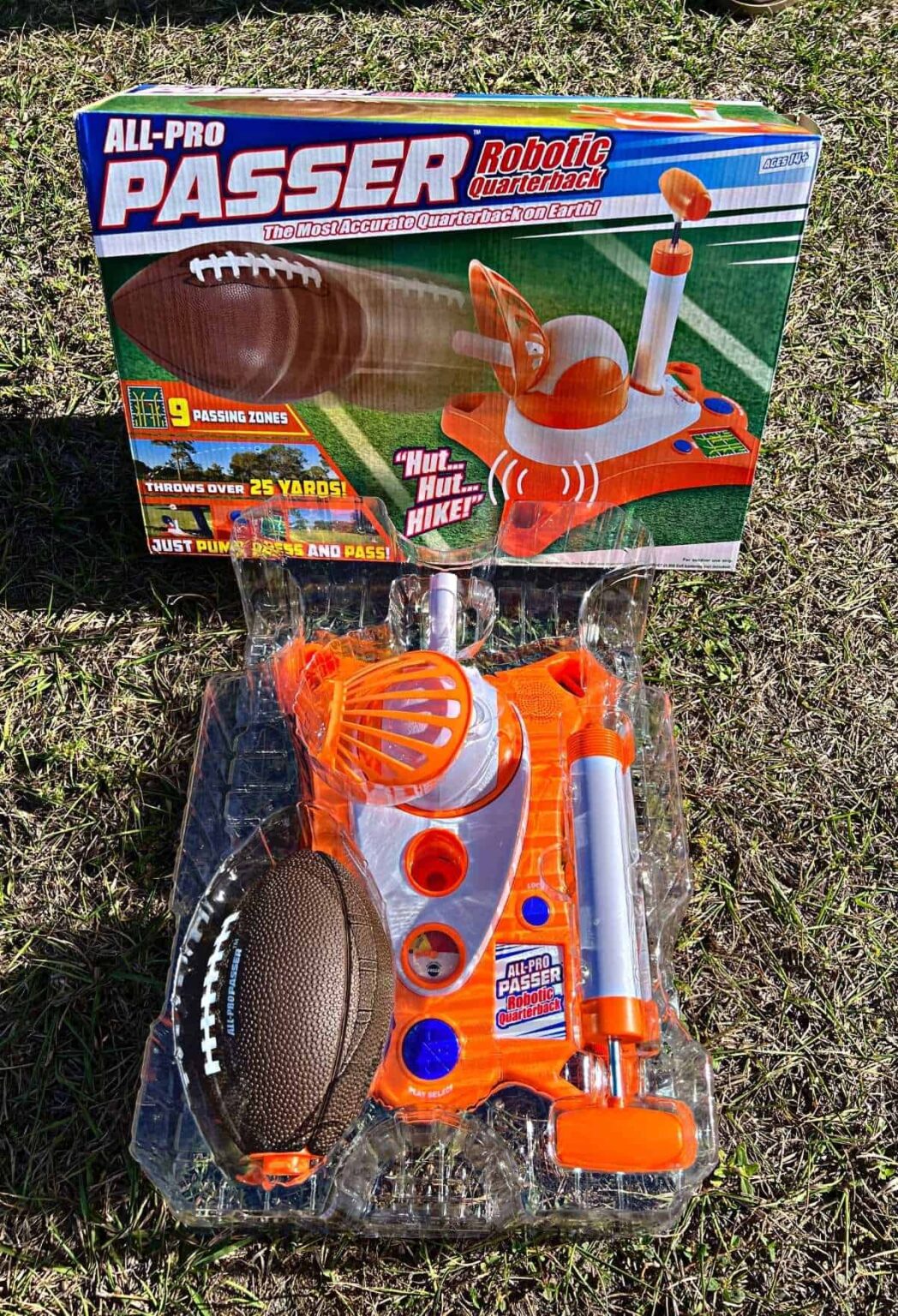 Wooden Toys Truth Fairies Gift Pack | Dine Dream Discover