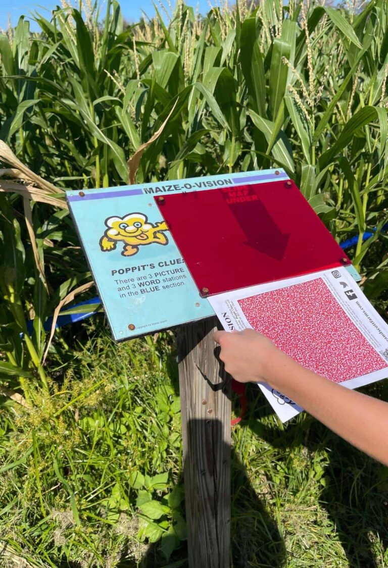 Long and Scott Farms Pirates Corn Maze | Dine Dream Discover